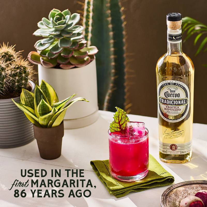 Jose Cuervo Tradicional Reposado Tequila 50ml (80 Proof) – BevMo!