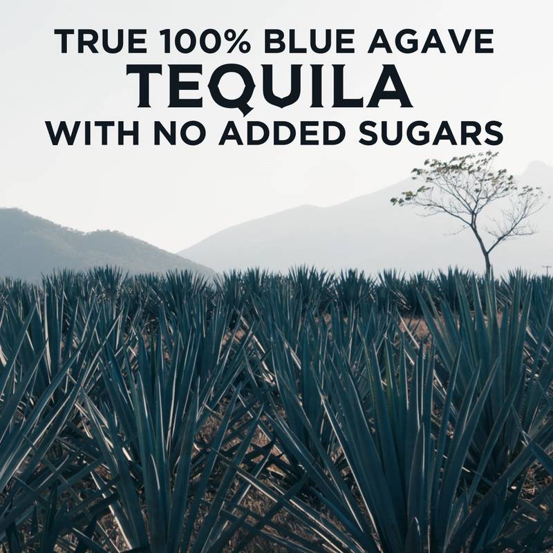 Herradura Reposado Tequila 50ml (80 Proof) – BevMo!