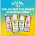 Malibu Dole Variety Pack 8pk 12oz Can - Malibu – BevMo!
