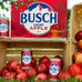 Busch Light Apple 12pk 12oz Can - Busch Light – BevMo!