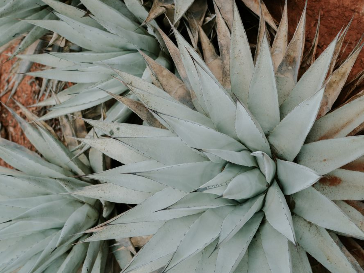 Explore & Learn – BevMo!