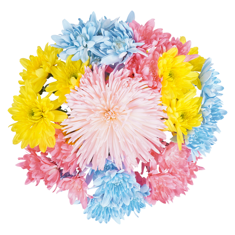 Spring Fling Flower Bouquet 9 Stem - BevMo! – BevMo!